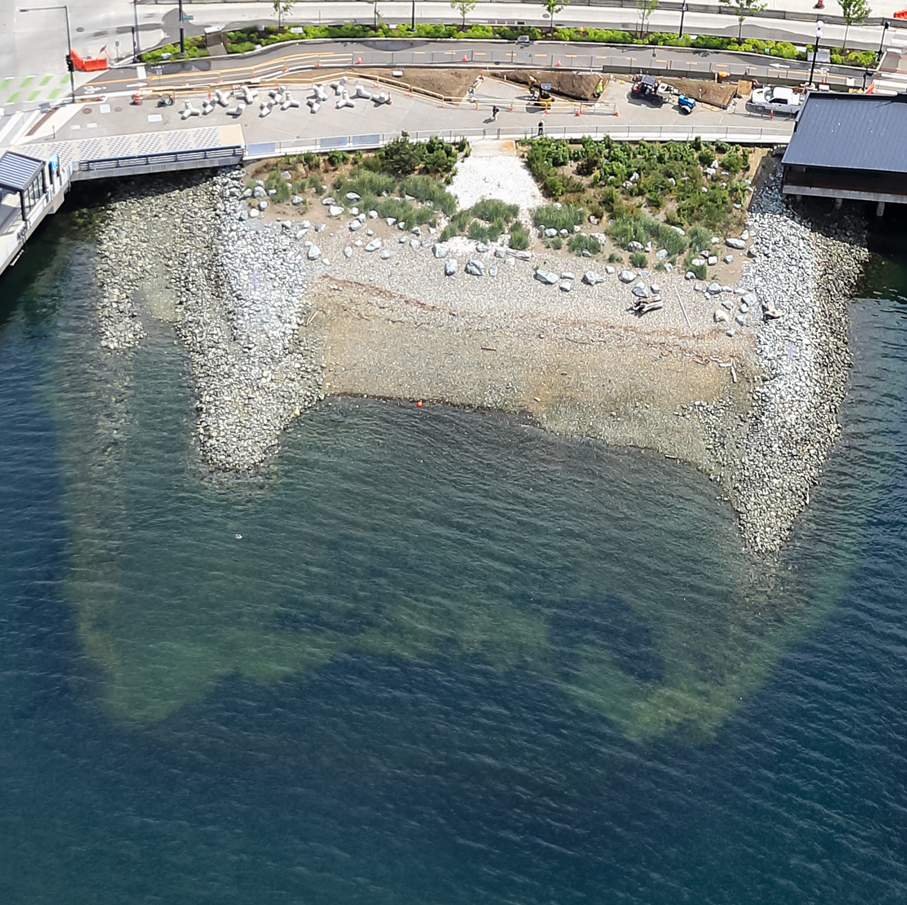 Seattle waterfront project restores beach habitat | ASCE