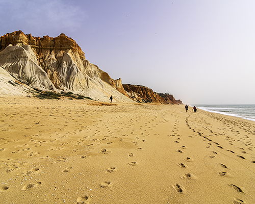 Fine-tuning a model to better predict erosion of steep beaches | ASCE