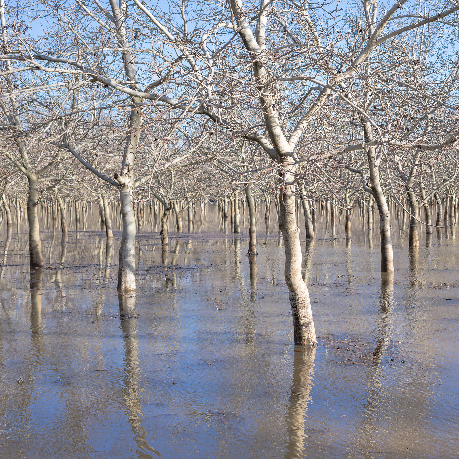 In a changing world, better flood modeling informs designs that stand ...